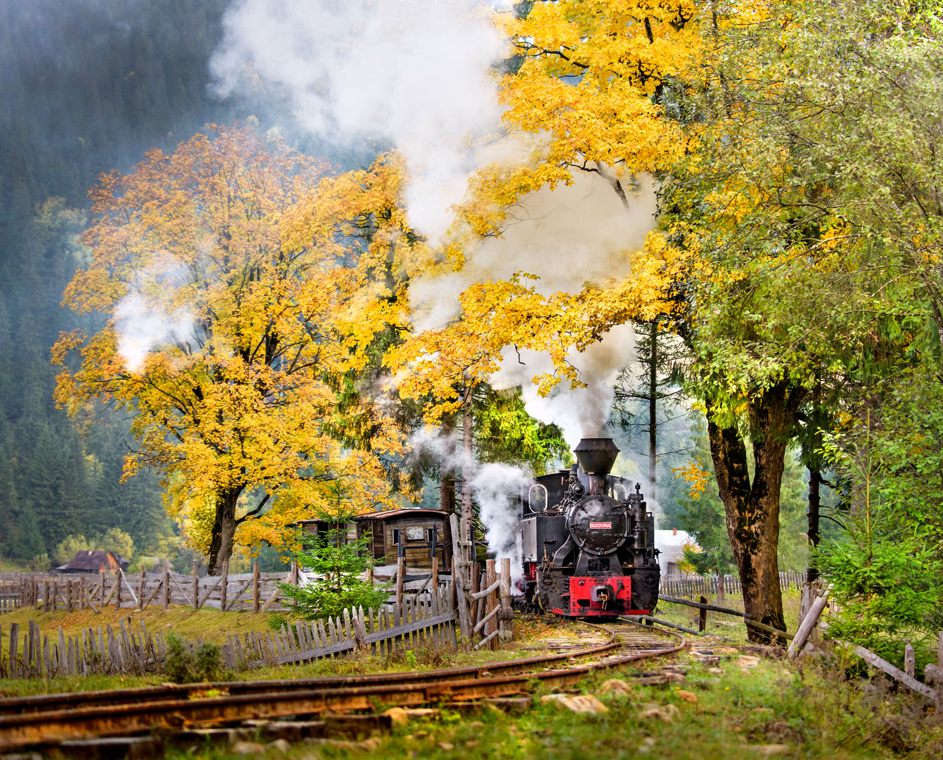 Transylvania Train - Transilvania Reiser
